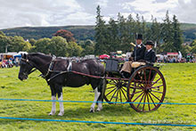 Llanfair Caereinion Show - Timetable